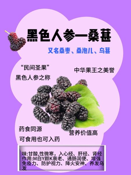 桑葚壮阳明显吗_桑葚怎么吃最补肾-第1张图片-山城妙识