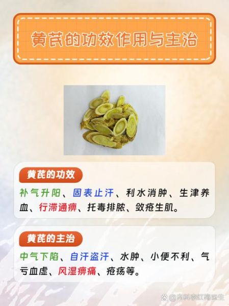 黄芪的功效与作用及禁忌人群_哪些人不适合吃黄芪-第2张图片-山城妙识