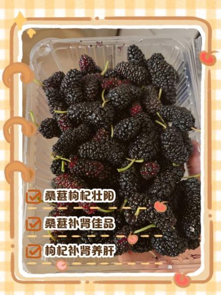 桑葚壮阳明显吗_桑葚怎么吃最补肾-第3张图片-山城妙识