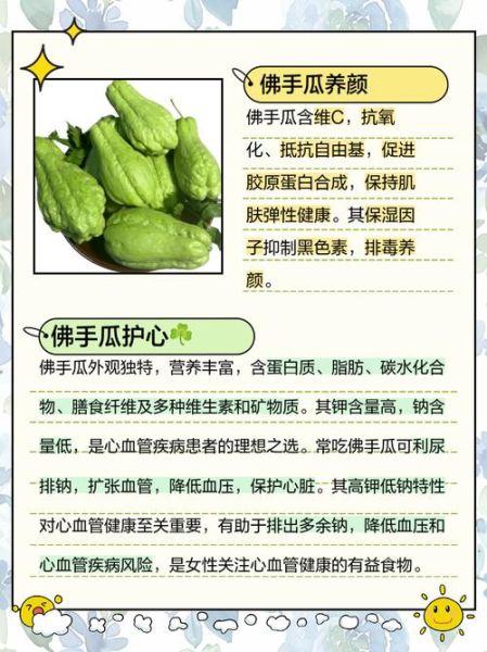 生吃佛手瓜有什么好处_生吃佛手瓜能减肥吗-第1张图片-山城妙识 生吃佛手瓜有什么好处_生吃佛手瓜能减肥吗-第1张图片-山城妙识