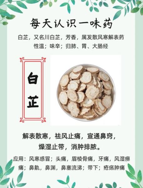 白芷的功效与作用用量_白芷一天吃多少克才安全-第1张图片-山城妙识 白芷的功效与作用用量_白芷一天吃多少克才安全-第1张图片-山城妙识