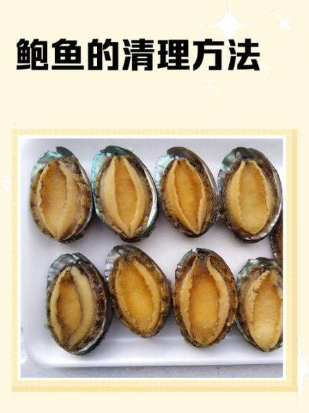 鲍鱼怎么清理_鲍鱼清洗内脏步骤-第1张图片-山城妙识 鲍鱼怎么清理_鲍鱼清洗内脏步骤-第1张图片-山城妙识