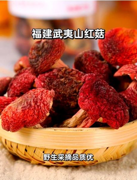 红菇怎么做好吃_红菇的功效与作用-第2张图片-山城妙识
