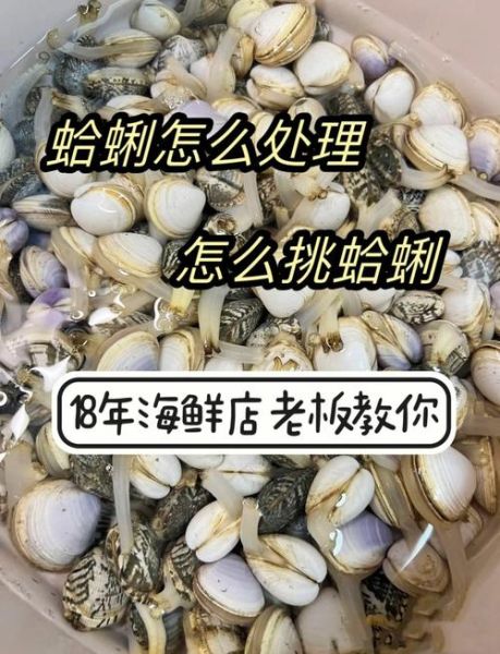 蛤蜊肉怎么清洗干净_蛤蜊肉去沙技巧-第1张图片-山城妙识