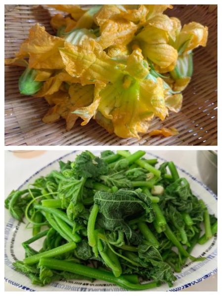 南瓜藤能吃吗_南瓜藤的做法大全-第3张图片-山城妙识 南瓜藤能吃吗_南瓜藤的做法大全-第3张图片-山城妙识