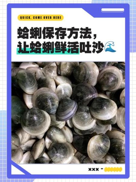 蛤蜊肉怎么清洗干净_蛤蜊肉去沙技巧-第2张图片-山城妙识