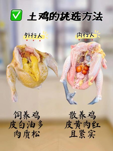野生田鸡图片_如何辨别真假-第2张图片-山城妙识 野生田鸡图片_如何辨别真假-第2张图片-山城妙识