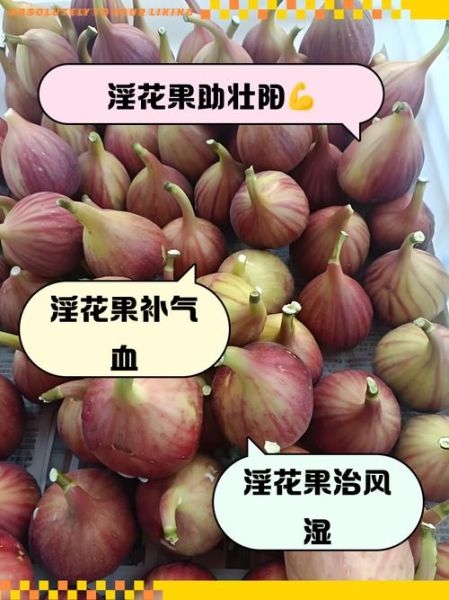 壮阳的水果有哪些_怎么吃效果最好-第2张图片-山城妙识 壮阳的水果有哪些_怎么吃效果最好-第2张图片-山城妙识