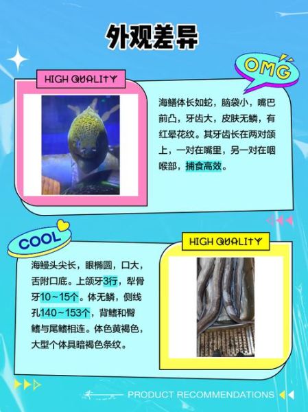 海鳗插件成就百科怎么用_海鳗插件成就百科在哪看-第1张图片-山城妙识 海鳗插件成就百科怎么用_海鳗插件成就百科在哪看-第1张图片-山城妙识