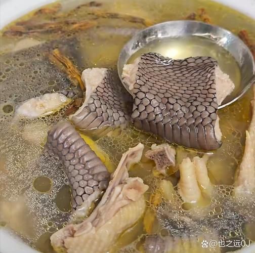 蛇肉龙凤汤怎么做_蛇肉龙凤汤正宗做法-第1张图片-山城妙识 蛇肉龙凤汤怎么做_蛇肉龙凤汤正宗做法-第1张图片-山城妙识