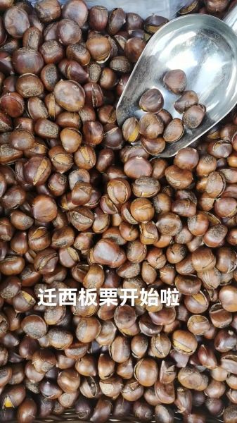 迁西板栗多少钱一斤_迁西板栗价格行情-第2张图片-山城妙识 迁西板栗多少钱一斤_迁西板栗价格行情-第2张图片-山城妙识