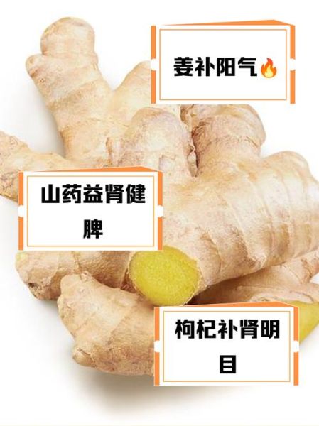 肾阳虚吃什么补最快_肾阳虚食补多久见效-第2张图片-山城妙识