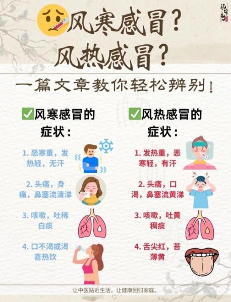风热感冒初期症状_如何快速缓解-第2张图片-山城妙识 风热感冒初期症状_如何快速缓解-第2张图片-山城妙识