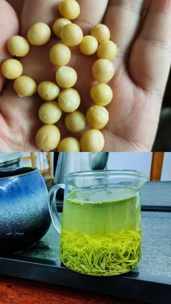 鸡头米多少钱一斤_鸡头米价格为什么差距大-第2张图片-山城妙识 鸡头米多少钱一斤_鸡头米价格为什么差距大-第2张图片-山城妙识