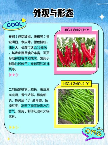 线椒和二荆条区别_哪个更辣-第3张图片-山城妙识 线椒和二荆条区别_哪个更辣-第3张图片-山城妙识