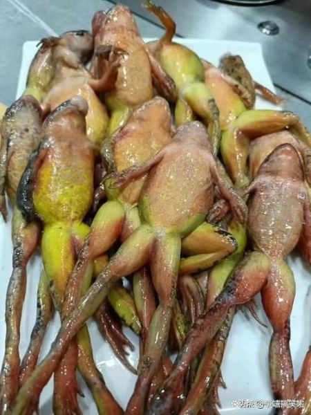 田鸡寄生虫多久煮死_田鸡煮多久才安全-第3张图片-山城妙识