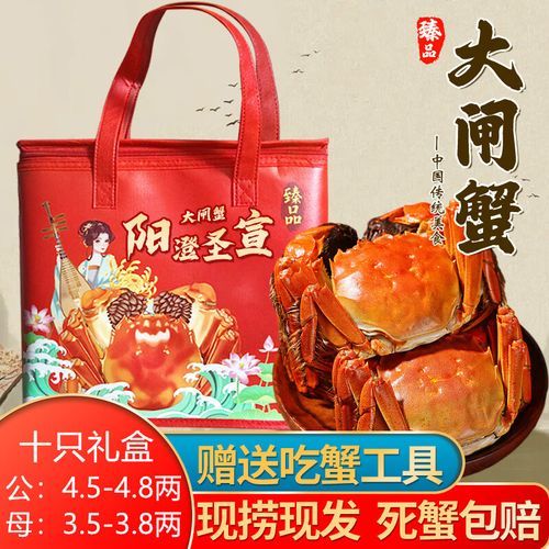 阳澄湖大闸蟹公母价格区别_如何挑选更划算-第2张图片-山城妙识 阳澄湖大闸蟹公母价格区别_如何挑选更划算-第2张图片-山城妙识