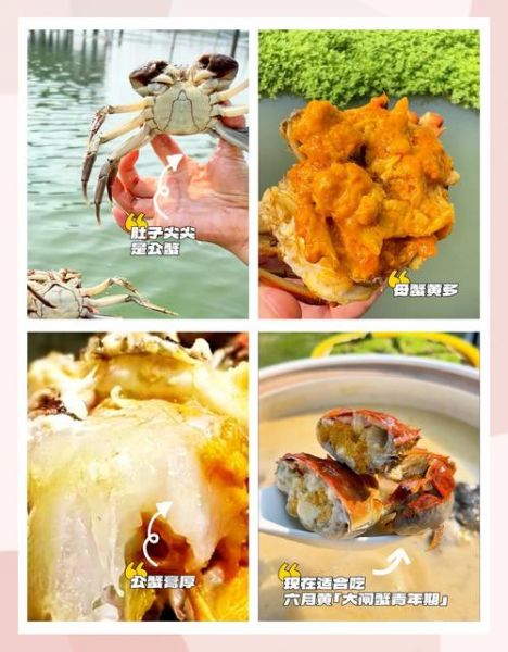 阳澄湖大闸蟹公母价格区别_如何挑选更划算-第1张图片-山城妙识 阳澄湖大闸蟹公母价格区别_如何挑选更划算-第1张图片-山城妙识