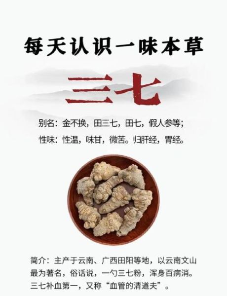 野三七的功效与作用_野三七和三七区别-第1张图片-山城妙识