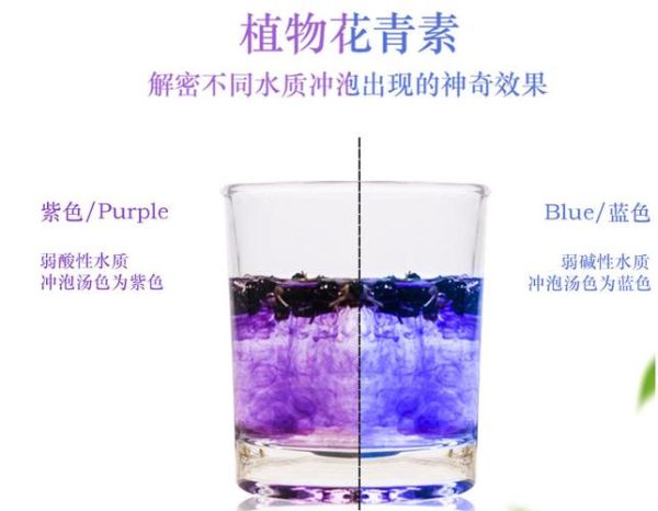 黑枸杞泡水颜色变化全过程_为什么会变色-第3张图片-山城妙识