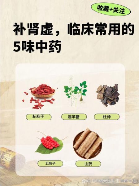 补肾吃什么好_肾虚怎么调理-第3张图片-山城妙识