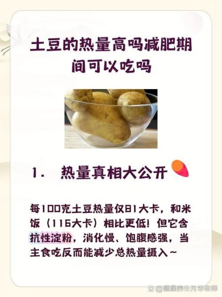 土豆热量高吗_减肥可以吃土豆吗-第1张图片-山城妙识 土豆热量高吗_减肥可以吃土豆吗-第1张图片-山城妙识