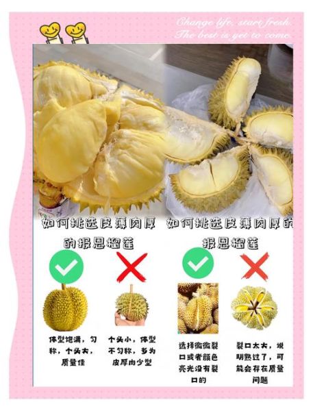 怎样挑选榴莲皮薄肉多_榴莲皮薄肉多的挑选技巧-第3张图片-山城妙识 怎样挑选榴莲皮薄肉多_榴莲皮薄肉多的挑选技巧-第3张图片-山城妙识