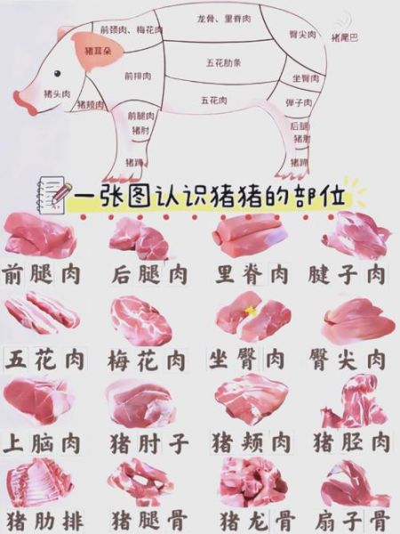 猪身上哪些部位不能吃_猪内脏哪些不能吃-第2张图片-山城妙识 猪身上哪些部位不能吃_猪内脏哪些不能吃-第2张图片-山城妙识