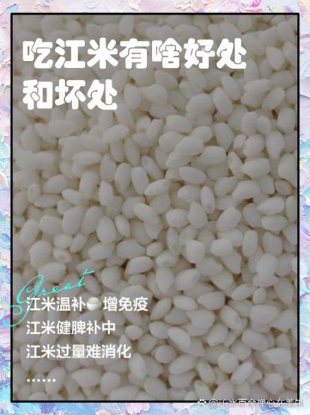 江米和糯米的区别_江米和糯米一样吗-第3张图片-山城妙识 江米和糯米的区别_江米和糯米一样吗-第3张图片-山城妙识