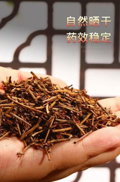 蜜麻黄与麻黄的区别_蜜麻黄和麻黄哪个更好-第1张图片-山城妙识 蜜麻黄与麻黄的区别_蜜麻黄和麻黄哪个更好-第1张图片-山城妙识