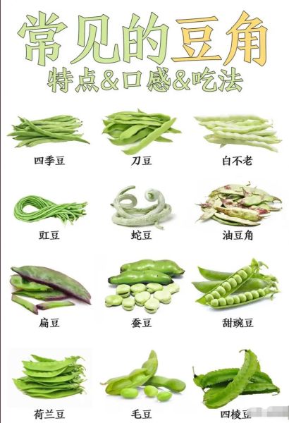 豆角种类有哪些_不同豆角品种区别-第1张图片-山城妙识 豆角种类有哪些_不同豆角品种区别-第1张图片-山城妙识