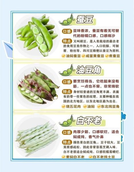 豆角种类有哪些_不同豆角品种区别-第2张图片-山城妙识 豆角种类有哪些_不同豆角品种区别-第2张图片-山城妙识