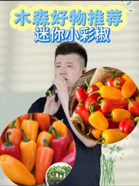 辣椒视频怎么赚钱_辣椒视频靠谱吗-第1张图片-山城妙识