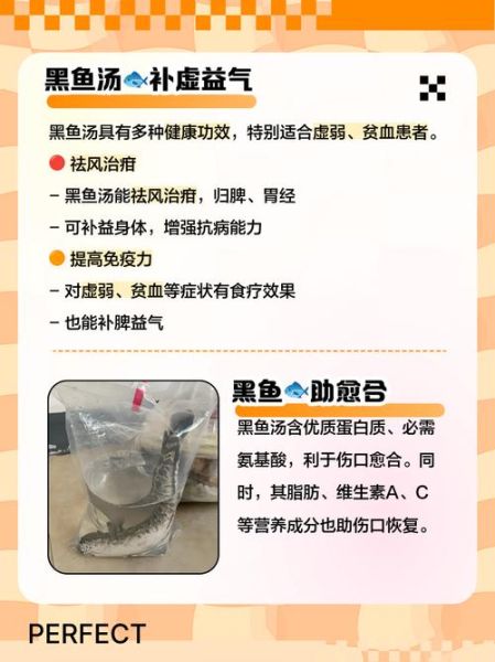 黑鱼汤的功效与作用_黑鱼汤适合什么人喝-第1张图片-山城妙识