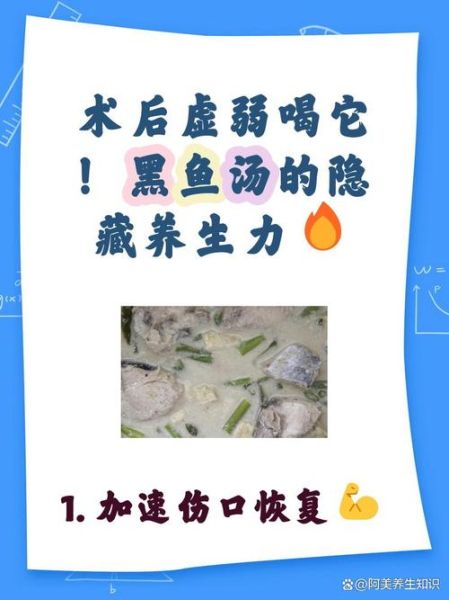 黑鱼汤的功效与作用_黑鱼汤适合什么人喝-第2张图片-山城妙识