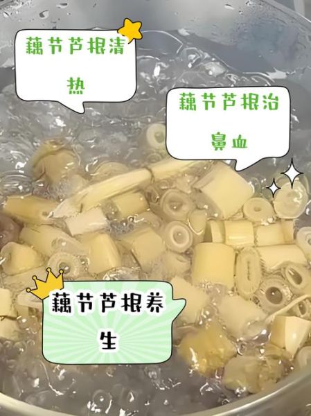 芦根藕节的功效与作用_芦根藕节能治什么病-第1张图片-山城妙识 芦根藕节的功效与作用_芦根藕节能治什么病-第1张图片-山城妙识