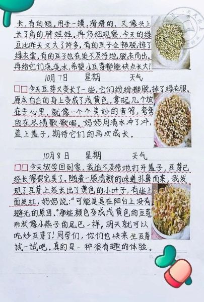 豆芽生长过程观察日记_怎么写-第2张图片-山城妙识