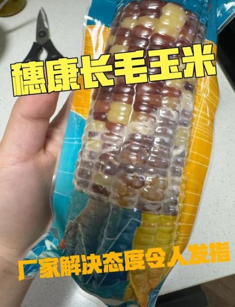 玉米发霉了还能吃吗_发霉玉米怎么处理-第2张图片-山城妙识 玉米发霉了还能吃吗_发霉玉米怎么处理-第2张图片-山城妙识