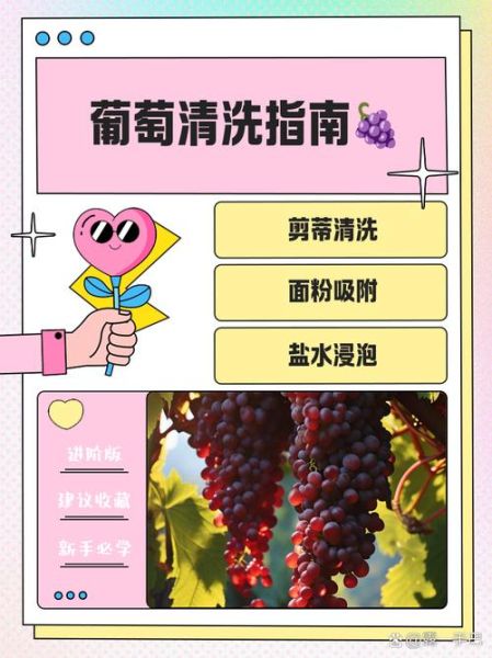 葡萄怎么洗才能洗干净_葡萄表面白霜怎么去除-第1张图片-山城妙识 葡萄怎么洗才能洗干净_葡萄表面白霜怎么去除-第1张图片-山城妙识