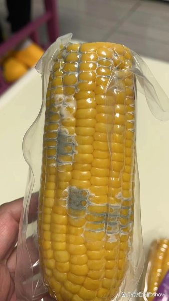 玉米发霉了还能吃吗_发霉玉米怎么处理-第3张图片-山城妙识 玉米发霉了还能吃吗_发霉玉米怎么处理-第3张图片-山城妙识