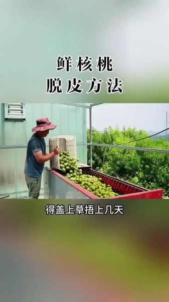 青皮核桃怎么去皮_青皮核桃去皮后怎么保存-第1张图片-山城妙识