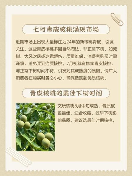 青皮核桃怎么去皮_青皮核桃去皮后怎么保存-第2张图片-山城妙识