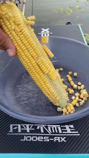 鲜玉米怎么剥粒_鲜玉米剥粒技巧-第3张图片-山城妙识