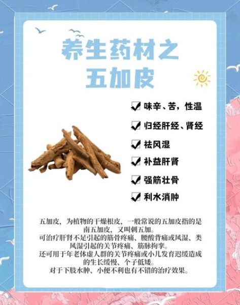 五加皮的功效与作用_五加皮适合哪些人吃-第1张图片-山城妙识 五加皮的功效与作用_五加皮适合哪些人吃-第1张图片-山城妙识