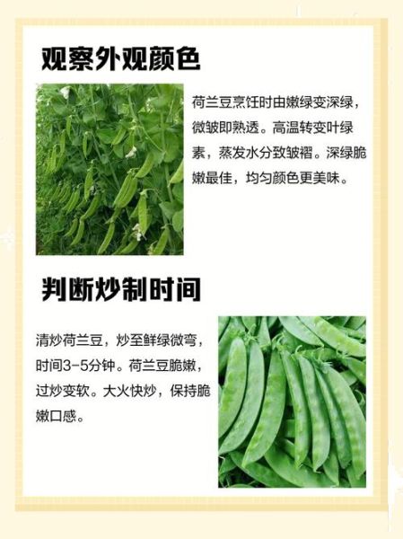 荷兰豆有点脆是没熟吗_如何判断荷兰豆熟没熟-第1张图片-山城妙识 荷兰豆有点脆是没熟吗_如何判断荷兰豆熟没熟-第1张图片-山城妙识