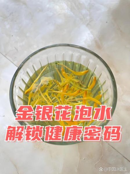 金银花泡水喝的禁忌_哪些人不能喝金银花茶-第1张图片-山城妙识