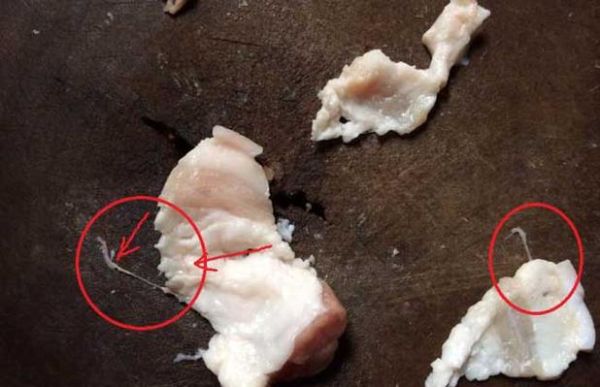 猪肉绦虫怎么杀死_猪肉绦虫高温能杀死吗-第2张图片-山城妙识 猪肉绦虫怎么杀死_猪肉绦虫高温能杀死吗-第2张图片-山城妙识
