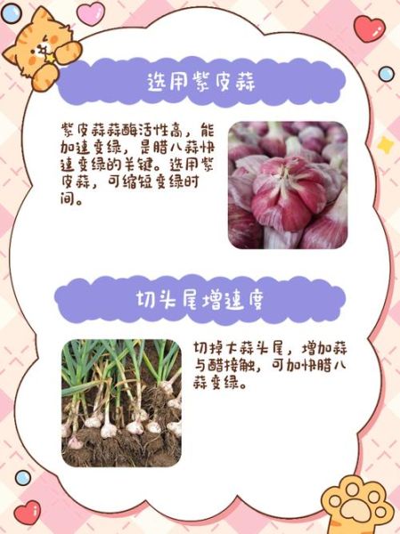 腊八蒜怎么变绿_腊八蒜变绿的腌制方法-第3张图片-山城妙识