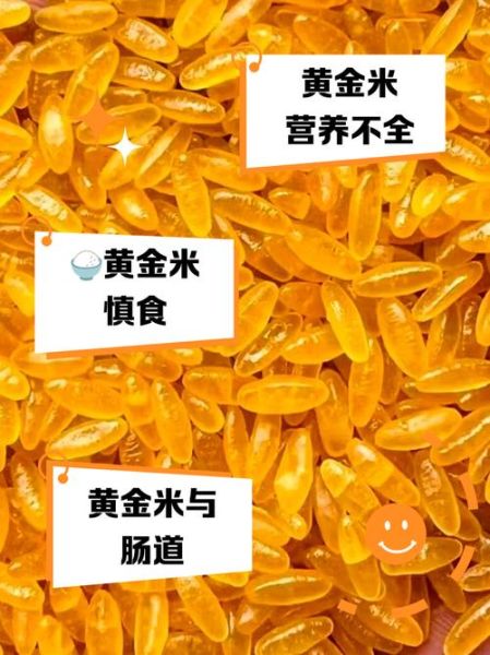 黄金米的功效与作用禁忌_适合哪些人吃-第2张图片-山城妙识 黄金米的功效与作用禁忌_适合哪些人吃-第2张图片-山城妙识