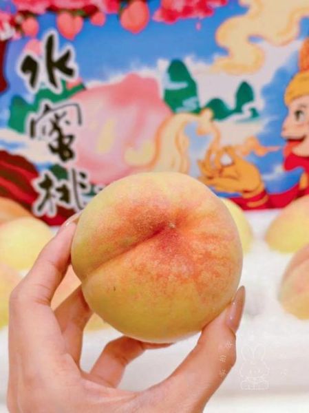 无锡水蜜桃多少钱一斤_无锡阳山水蜜桃价格行情-第2张图片-山城妙识 无锡水蜜桃多少钱一斤_无锡阳山水蜜桃价格行情-第2张图片-山城妙识